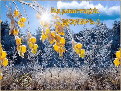 С Добрым первым утром Ноября Вот и ноябрь Будем вместе до Интересный контент в группе