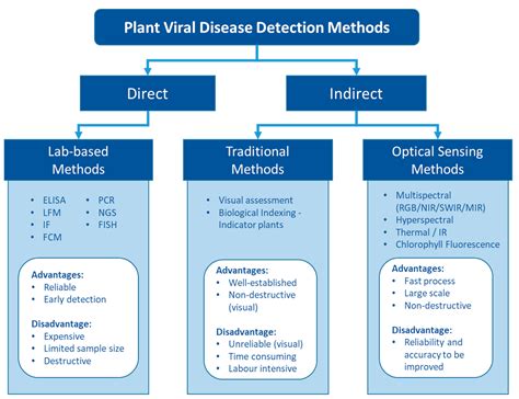 Methods Of Virus Detection At John Rosado Blog