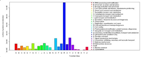 Cog Function Classification Of Assembled Unigenes Download Scientific