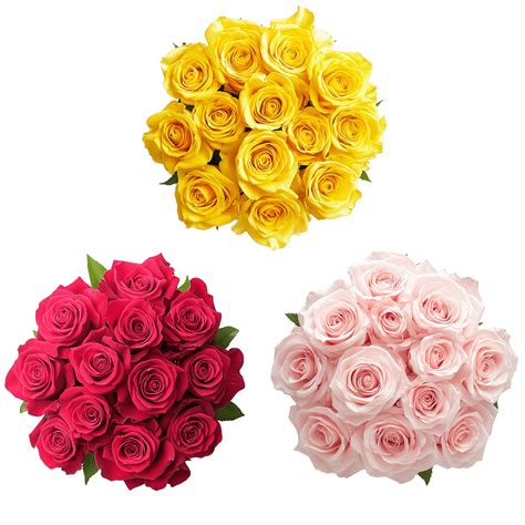 Rose Bouquet 3 Dozen Assorted Roses