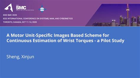 A Motor Unit Specific Images Based Scheme For Continuous Estimation Of Wrist Torques A Pilot