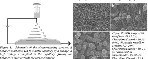 Figure 1 From Nanofibrous Surface Patterning Using Nano Meshed Microcapsules Induced By Phase