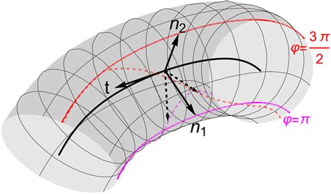 An Arbitrarily Curved Flux Rope Example With A Parallel Transport