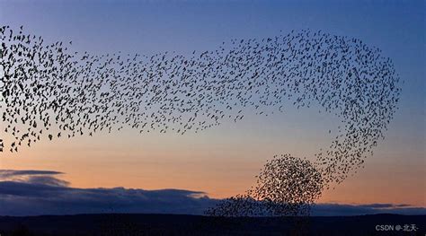 基于粒子群优化算法的路径问题优化研究及其在python中的实现pso路径优化 Csdn博客