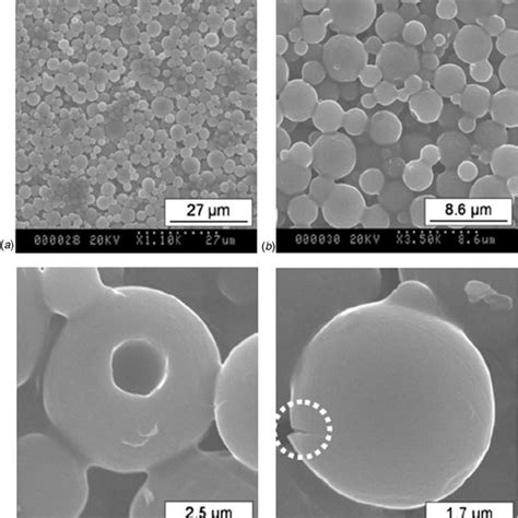 Different Possibilities For Hollow Particle Formation During Spray Download Scientific Diagram
