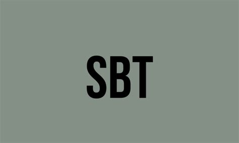 What Does Sbt Mean Meaning Uses And More Fluentslang