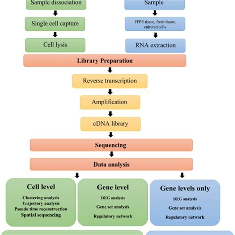 Workflow Of A Typical Scrna Seq Experiment Vs Traditional Bulk Rna
