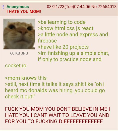 anon learns to code r greentext