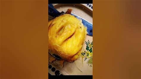 රස වගේම ගුණදායක කෑමක් හදලා බලමුද අපි😍 ️ Youtube