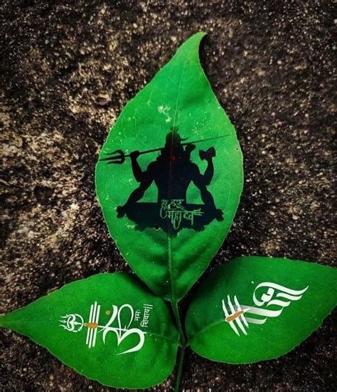 Shravan 2024 A Month Of Spiritual Significance And Festive Joy Jaymahakaal