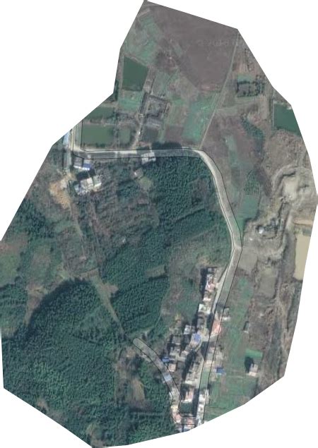 蓝山原种场高清卫星地图