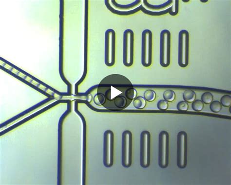 Microfluidics Biotechnology Research Innovation Dolomitemicrofluidics μencapsulator Facs