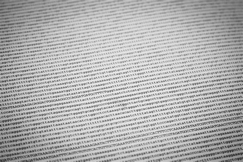 How Machine Learning Algorithms Can Improve Dna Sequence Classification Morning Sign Out