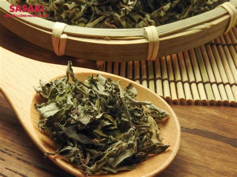 7 ứng Dụng Tuyệt Vời Của Ngải Cứu Trong Y Học Dân Gian