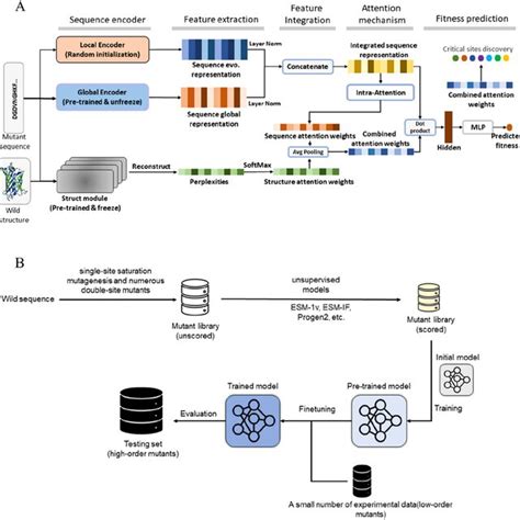 Architecture Of Model And The Schematic Of Data Augmentation Strategy Download Scientific