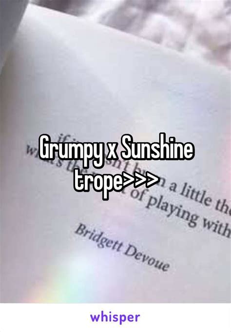 Grumpy X Sunshine Trope