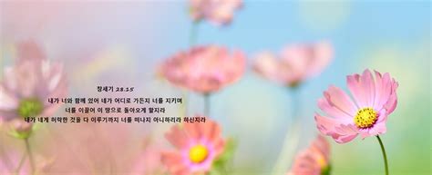 하늘빛사랑 Blog