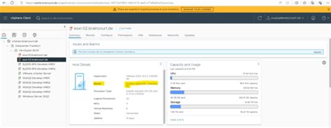 Set Up And Deploy A Vmware Esxi Host Cluster And Datastore Cluster
