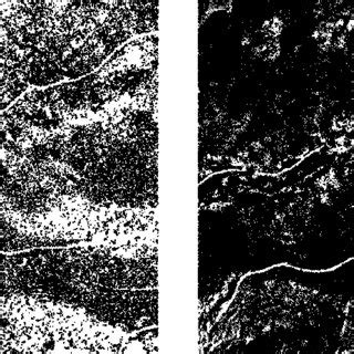Left Open Spaces Detected In The LiDAR Point Cloud From M AGL Download Scientific
