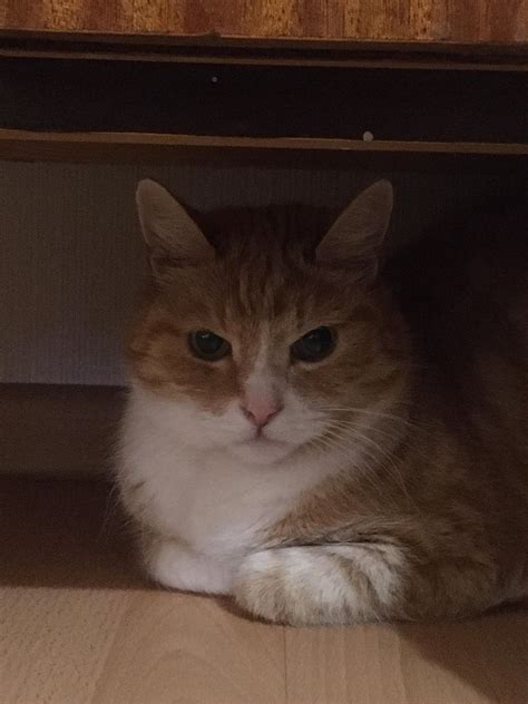 Don T Talk To Me Im Angy Artofit