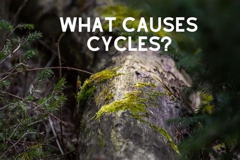 WHAT CAUSES CYCLES