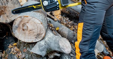 보호 작업복을 입은 전문 벌목꾼은 숲에서 전기톱으로 작업하고 나무 통나무를 톱질하고 얼굴이 없는 클로즈업 보기 사진 Unsplash의 헬멧 이미지