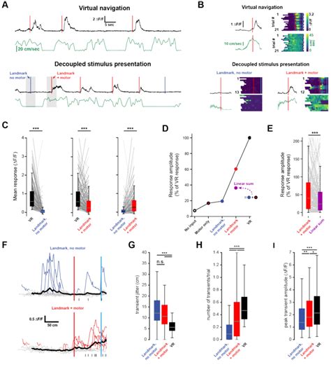 Non Linear Integration Of Visual And Motor Inputs In Rsc Landmark Download Scientific Diagram