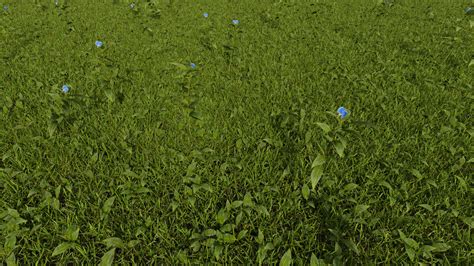 Pro Grass For Blender Cycles And Eevee Superhive Formerly Blender Market