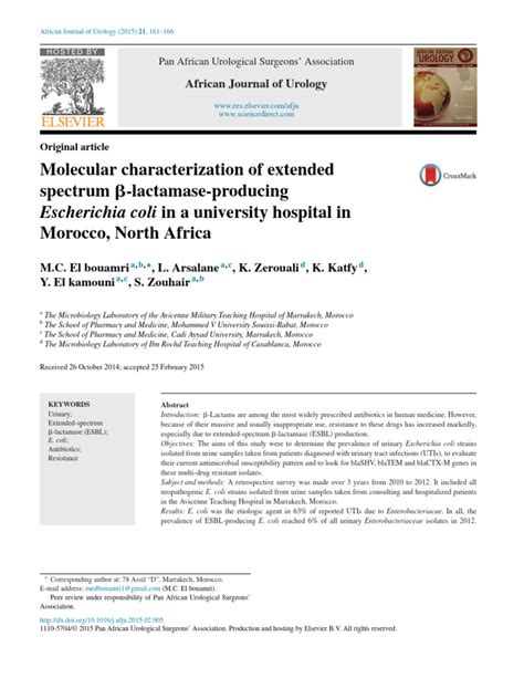 Molecular Characterization Of Extended Spectrum B Pdf Beta Lactamase Antimicrobial Resistance