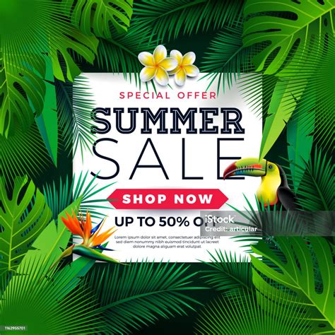 녹색 배경에 큰 부리새 열대 야자수 잎과 꽃여름 판매 디자인 벡터 스페셜 오퍼 일러스트레이션 여름 휴가 요소 쿠폰 바우처 배너