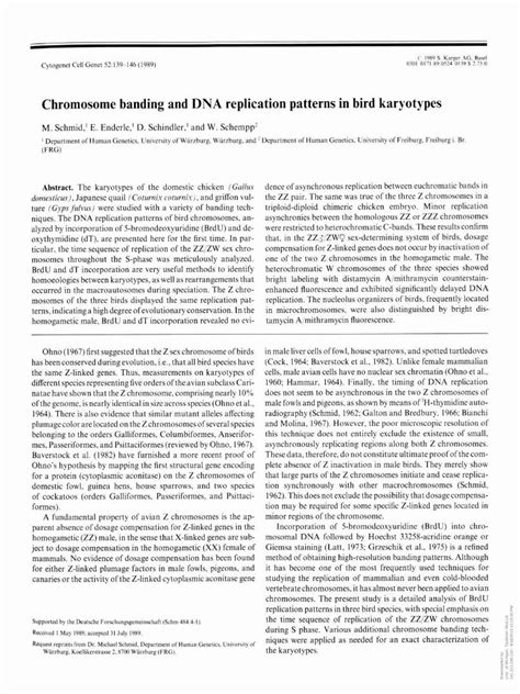 Pdf Chromosome Banding And Dna Replication Patterns In Bird Karyotypes Dokumen Tips