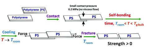 Scheme Of The Experimental Procedures Used In This Work Download