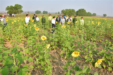 နေပြည်တော်ကောင်စီဥက္ကဋ္ဌ ဦးသန်းထွန်းဦး ဒက္ခိဏသီရိမြို့နယ်နှင့် လယ်ဝေးမြို့နယ်အတွင်း ဒေသဖွံ့ဖ
