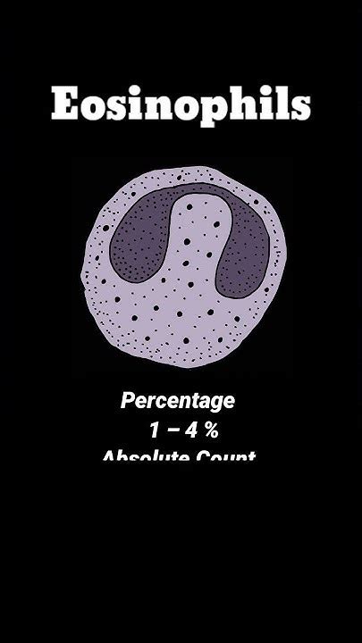 Eosinophils Eosinophils Eosin Eosinophil Eosinophilscount Lab Reports
