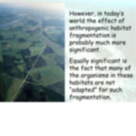 Solution Habitat Loss And Fragmentation Why So Important Its Causes Effects Island