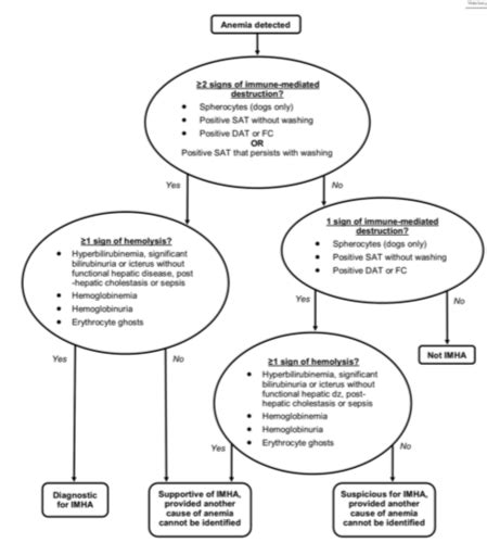 Consensus Statements Flashcards Quizlet