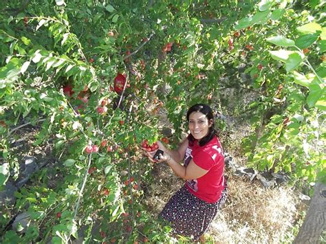 Turkish Hatice Porn Pictures Xxx Photos Sex Images 1862048 Pictoa