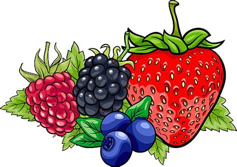 Berry Fruits Cartoon Illustration Drawing Design Sweet Vector Drawing
