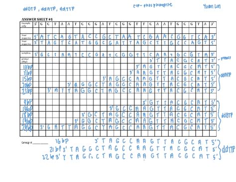 Exercise 1 Answer Sheets 13and4 Answer Sheet Example Only 5 G C