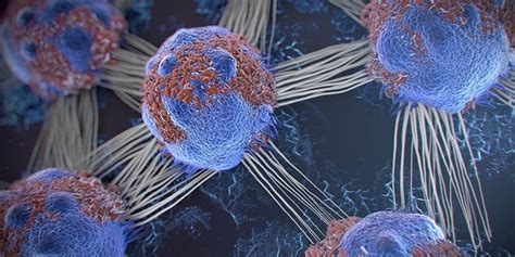 Ini Dia Fakta Seputar Sel Kanker Deherba Com