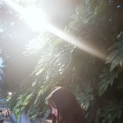 Shi Xiaoyu Shanghai Jiao Tong University Shanghai Sjtu Department Of Environmental