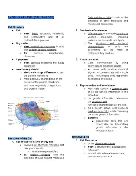 Cell Biology Lecture Notes CELLULAR LEVEL CELL BIOLOGY Cell Structure Cell Desc Basic
