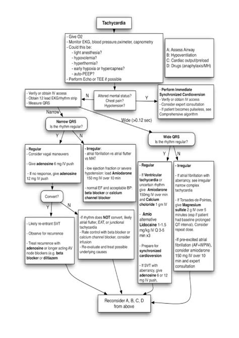 ACLS Algorithms Tachycardia Give O2 Monitor EKG Blood Pressure Oximeter Capnometry Could