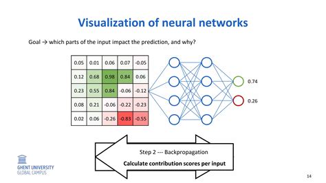 learning biologically relevant features using convolutional neural