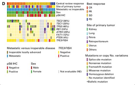 Continued Best Response Per Recist V1 1 And A Patient With A