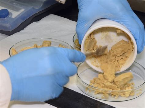 Video Extraction Of Plant Based Capsules For Microencapsulation Applications