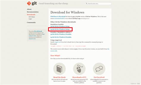 Git安装及使用图文教程详解（附带安装文件）git2451安装教程 Csdn博客