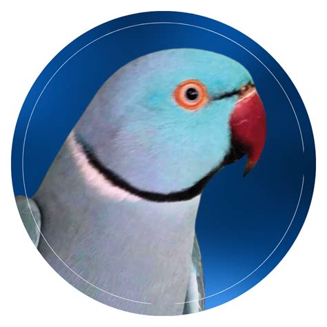 Nutribiótica Ringneck Natural Pássaros Brasil