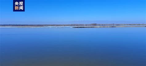 黄河宁夏段平稳开河 km 全线 长度