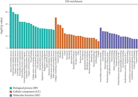 Transcriptomics Analysis Predicted The Potential Targets Of Didymin